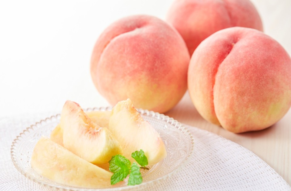 【Japanese Fruits】6 Recommended Fruit Picking Experiences for Summer ...